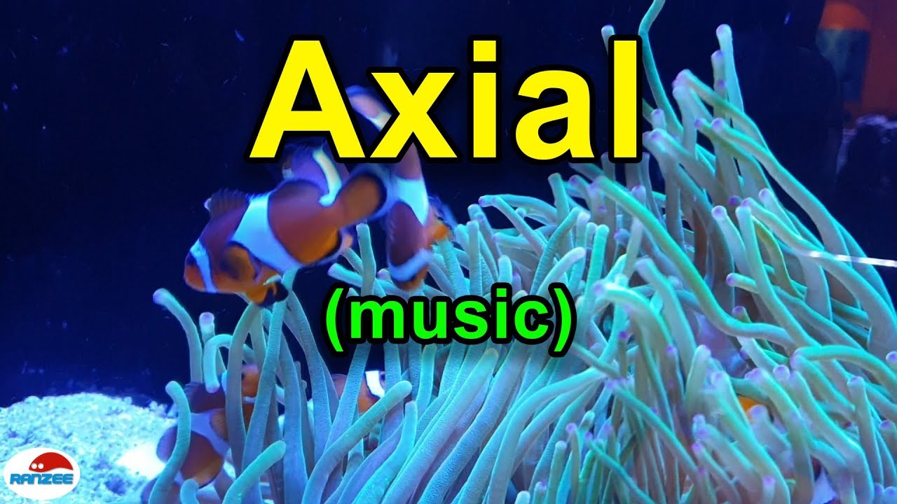 Axial (music) - YouTube