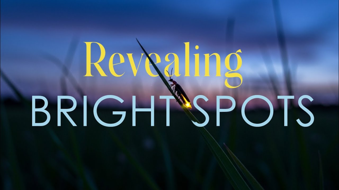 Revealing Bright Spots: Advanced Diagnostics for CWD - YouTube