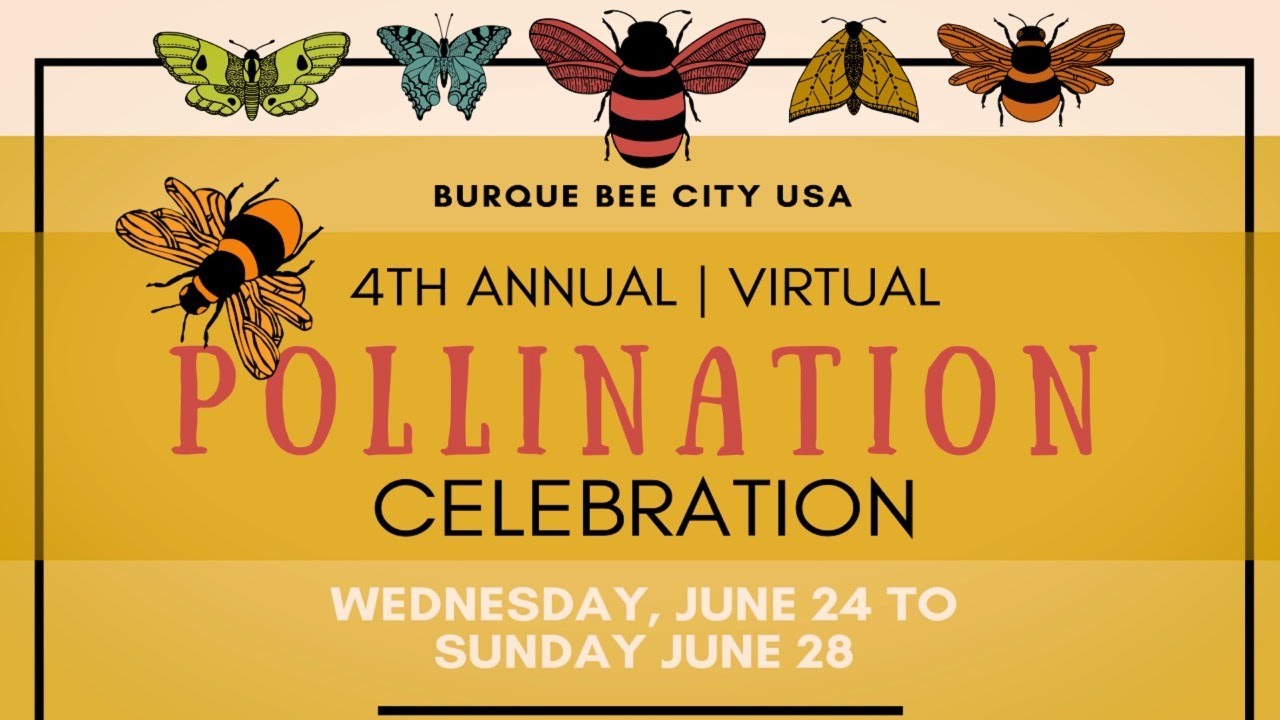 Anna Walker: "Pollinators in Decline: Why it Matter & What We Can Do ...