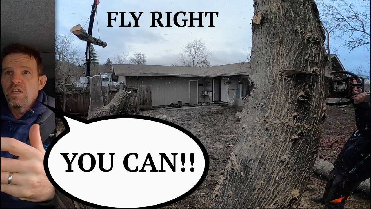 I am literally compelled to tell you this. - YouTube