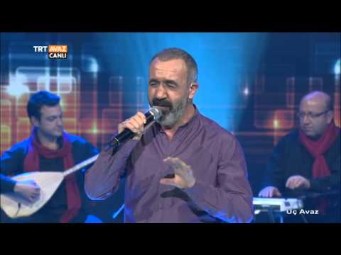 Murat Kaya - Kirpiğin Kaşına Değdiği Zaman - TRT Avaz