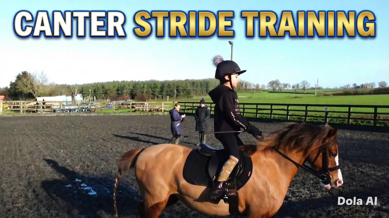 Canter Stride Training Session | Riding Lesson on Bridget 🐴 - YouTube