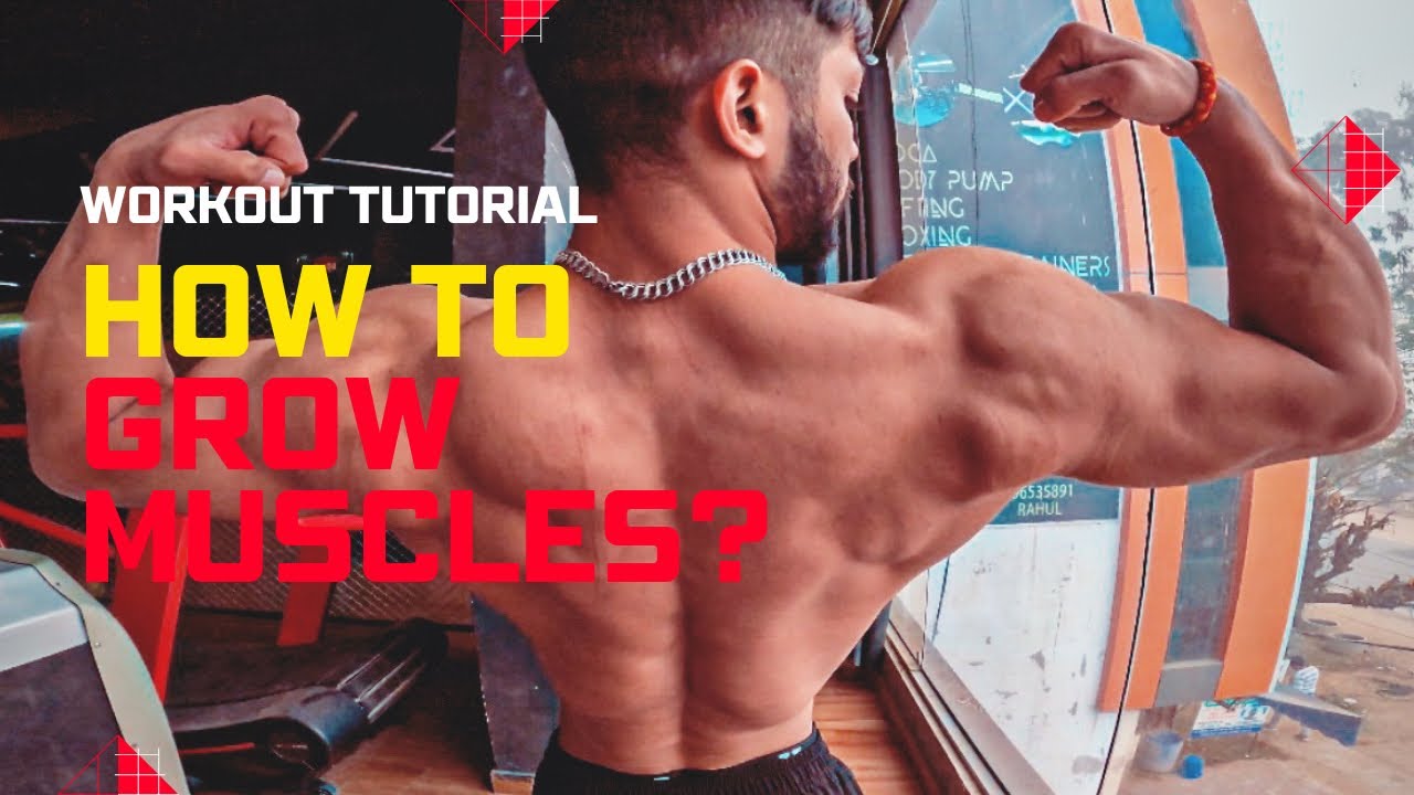 A Hardcore Back Workout for Unstoppable Strength! - YouTube