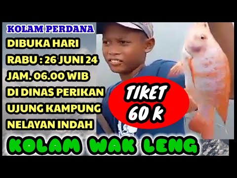 Kolam WAK LENG, Size ikan Nila : 5,6,7 dan 8 ekor 1 Kg #MKtv Mancing Kolam - YouTube