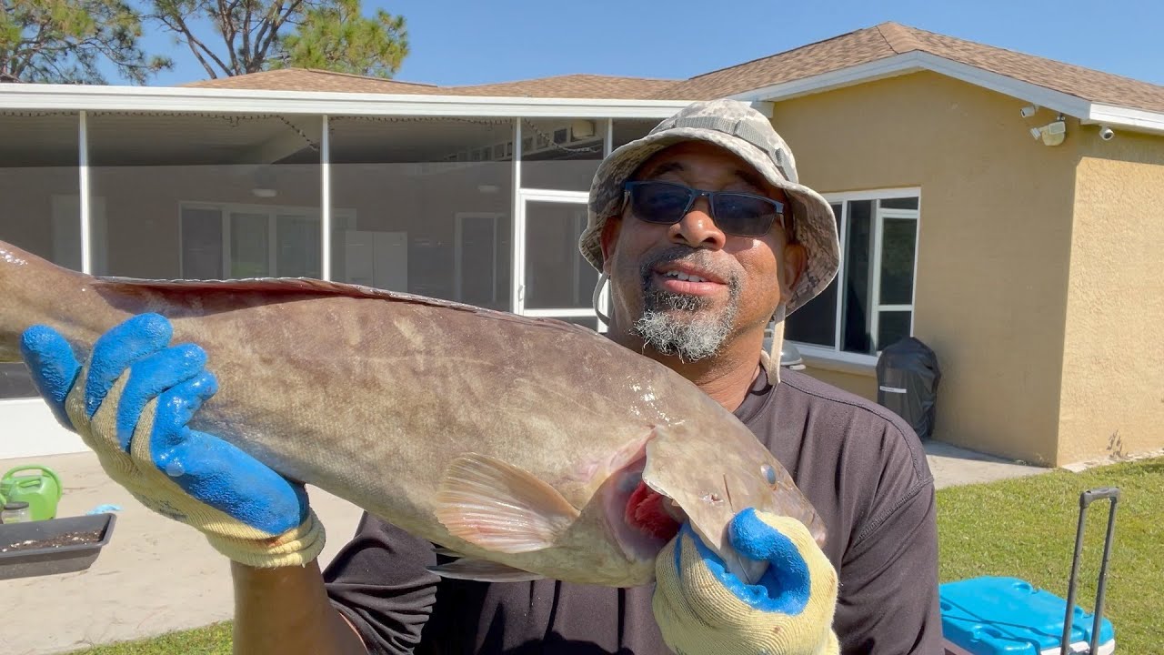 How to filet fish with Captain Jeff - YouTube