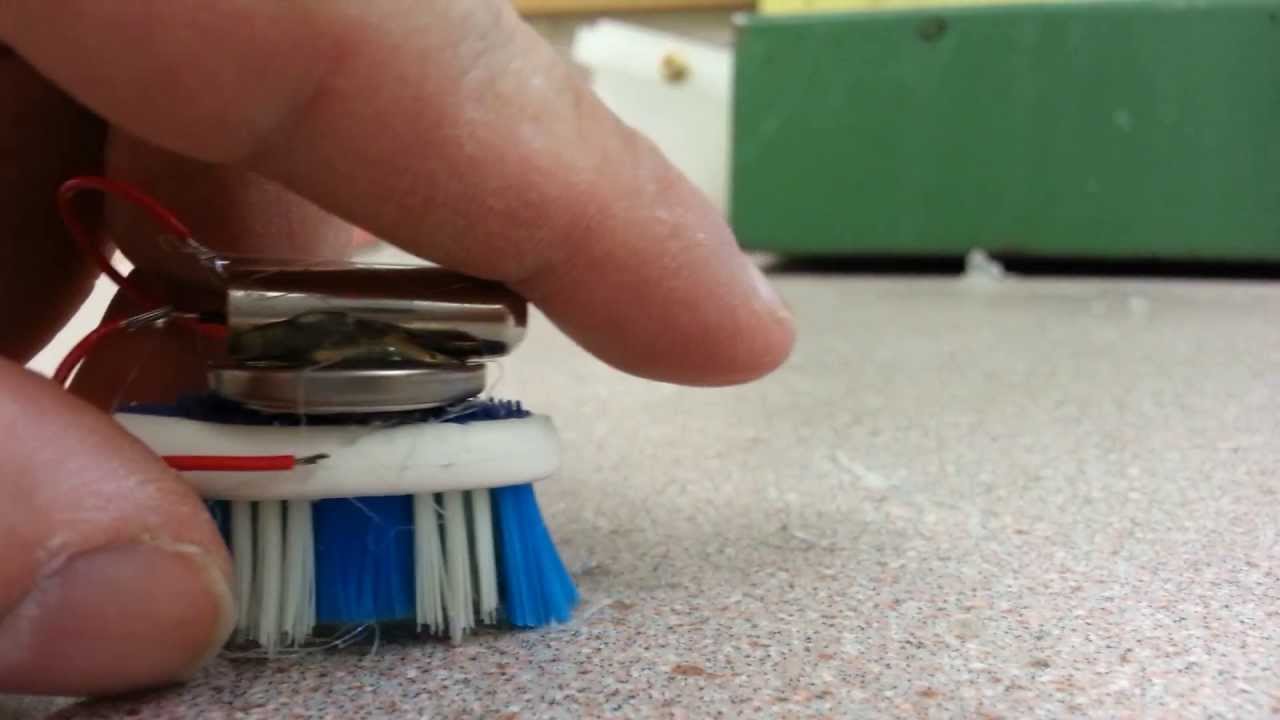 Toothbrush Bug - YouTube