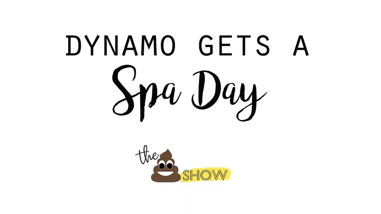 The Poop Show Live! - YouTube