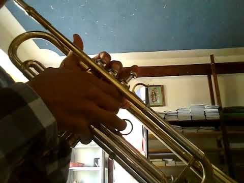 Edi trompeta al mundo Paz - YouTube