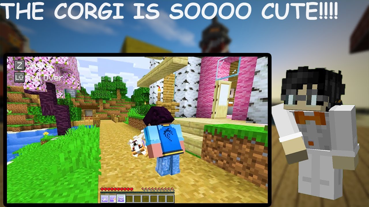 "THE CORGI IS SOOOO CUTE" | Reacting to Adopting PUPPY APHMAU in ...