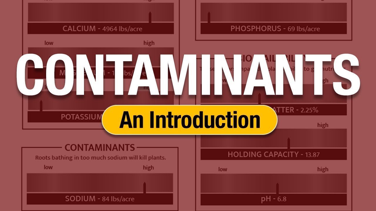 Contaminants – An Introduction - YouTube