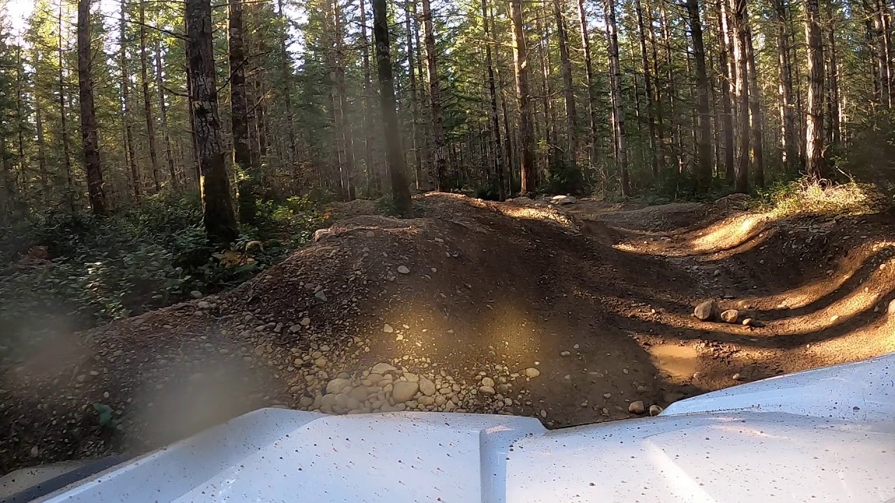 Tahuya 4x4 trail section 2. Honda Talon 1000x4 LV - YouTube