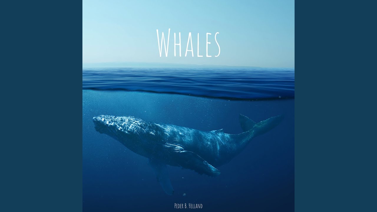 Whales - YouTube