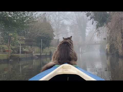 Surprise: Fog in March. Louis enjoys his morning kayaking.