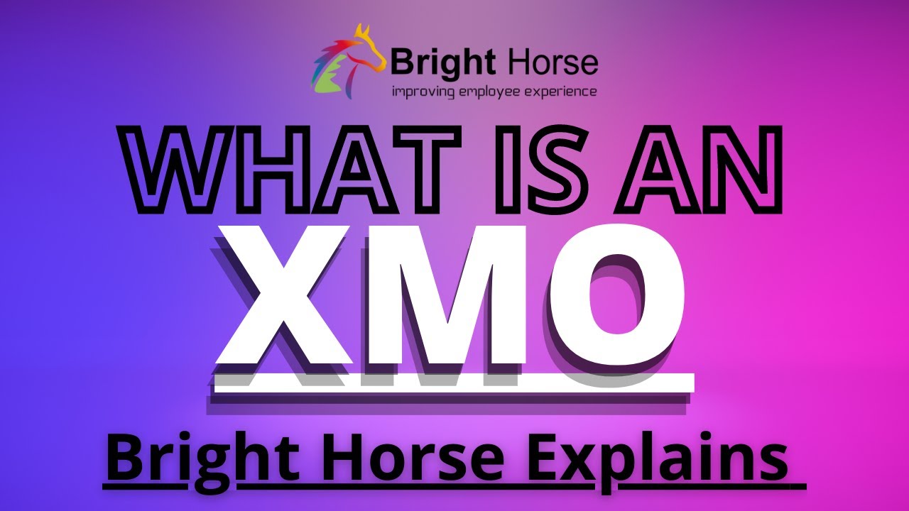 What is an XMO? (Experience Management Office) - Bright Horse Explains ...