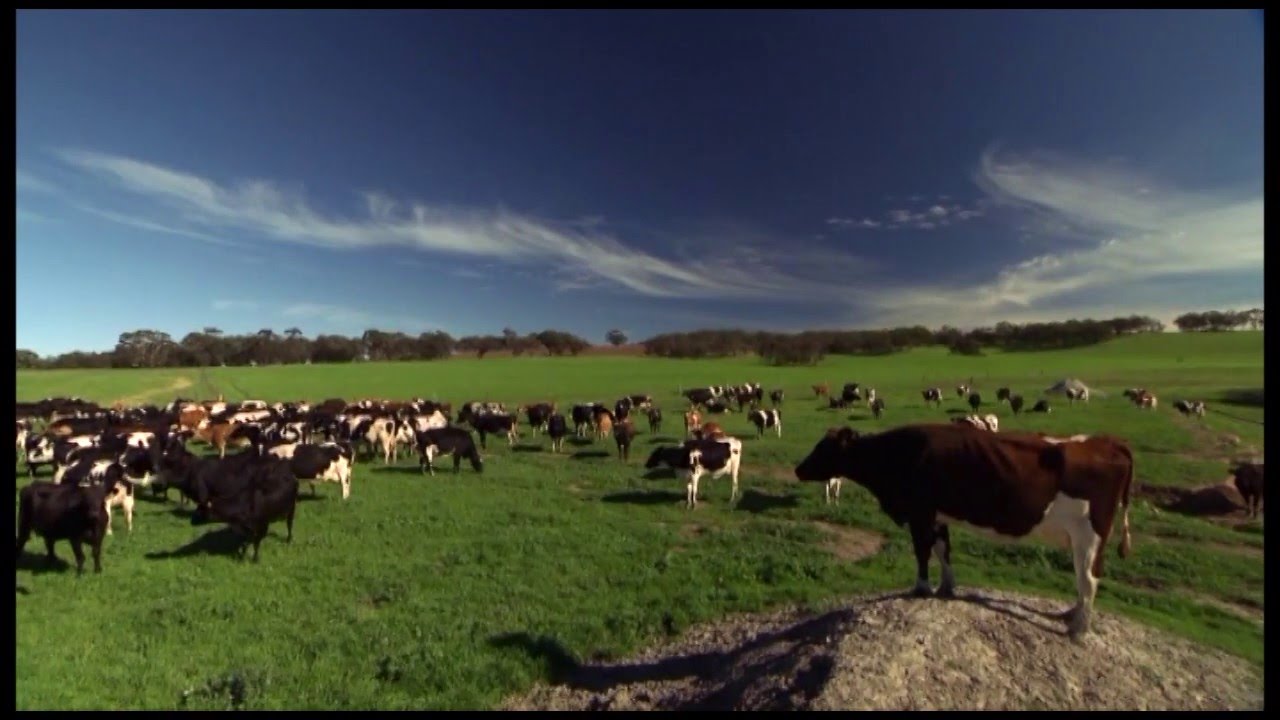 Golden North Ice Cream - YouTube