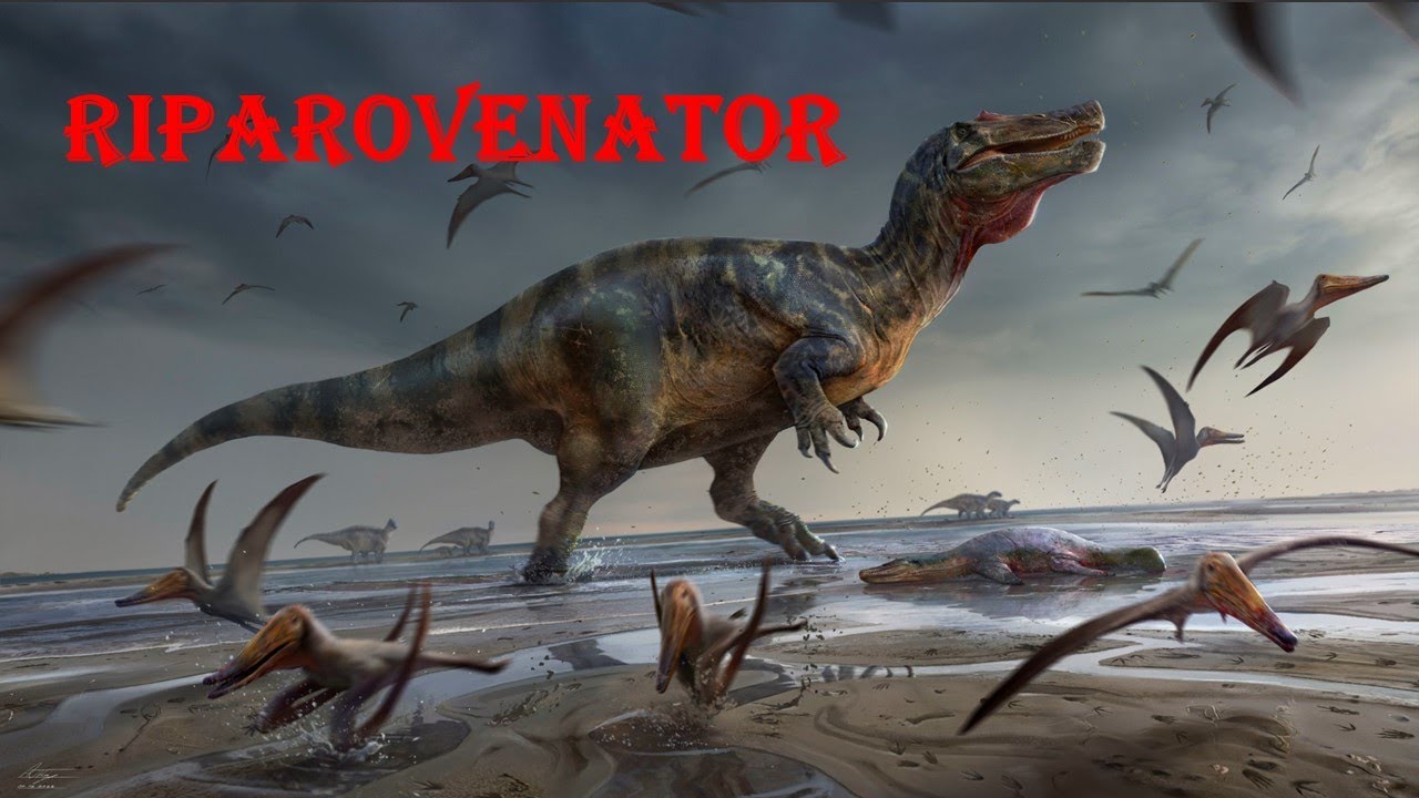 riparovenator - YouTube