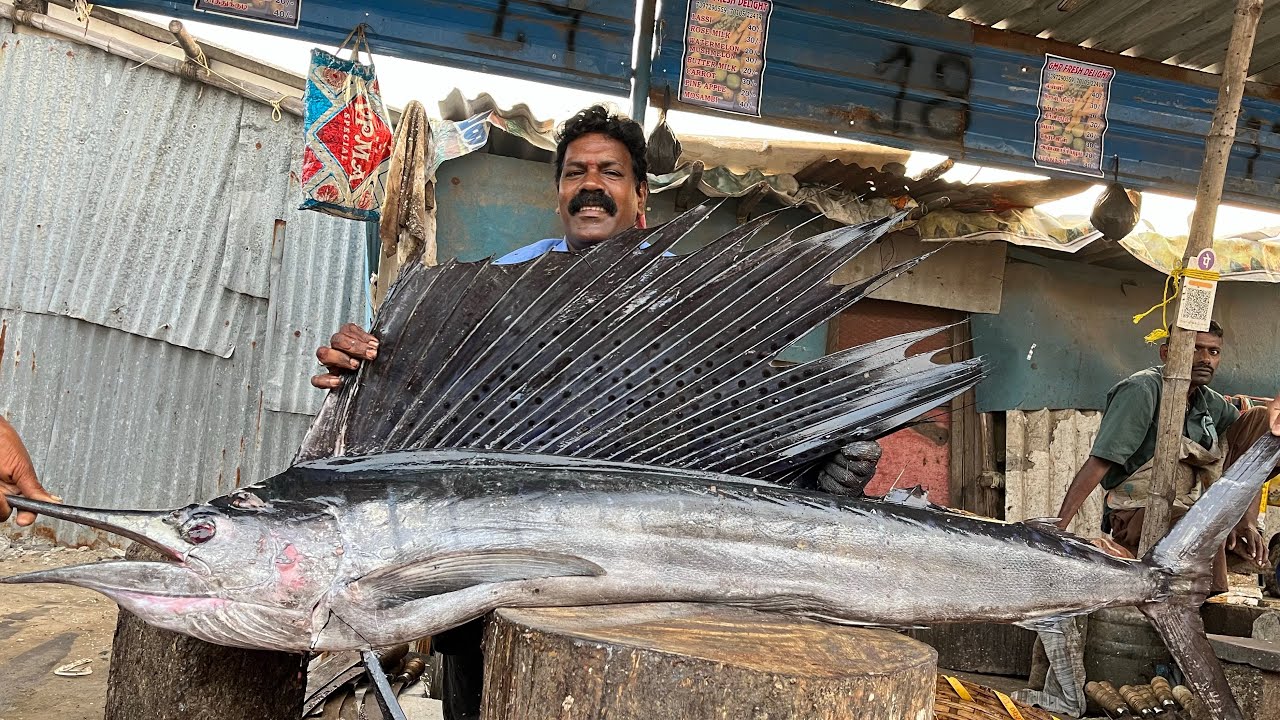 MONSTER FISH 🐠 MAYIL KOLA 🤩 FANTASTIC CUTTING BY KASIMEDU SEKAR ⚔️🔥 ...