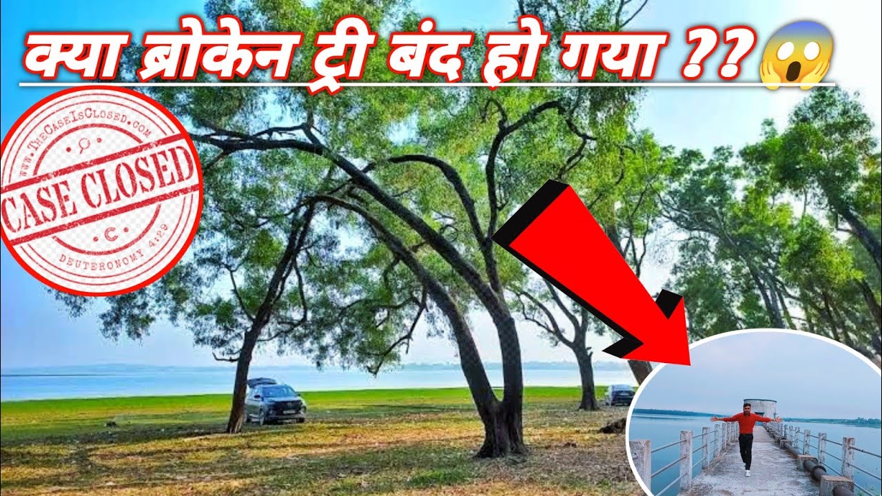 Broken Tree 🌲 Closed ?|New Hidden Place In Ranchi||Broken Wood Ranchi ...