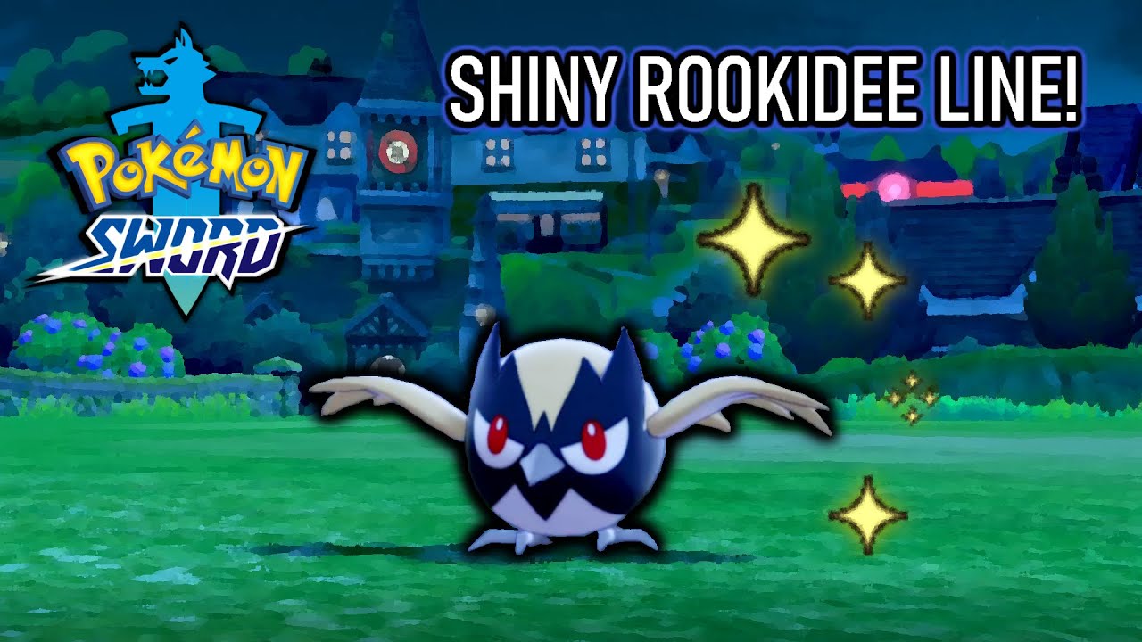 Shiny Rookidee Evolution Line! - Multiple Shinies! - YouTube