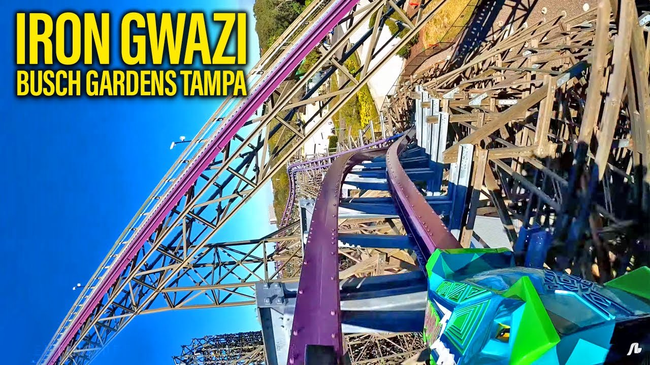 Gwazi Busch Gardens Tampa