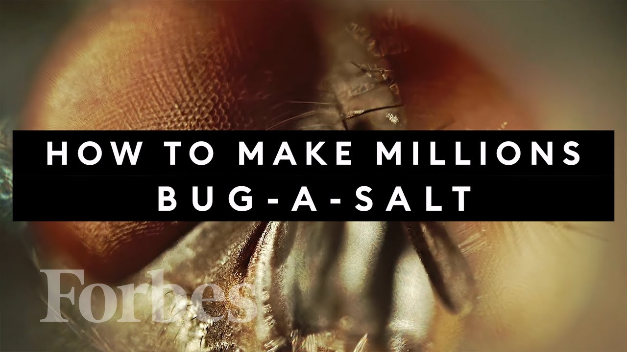 How Bug-A-Salt Went From Gimmick To Big Business | Forbes - YouTube