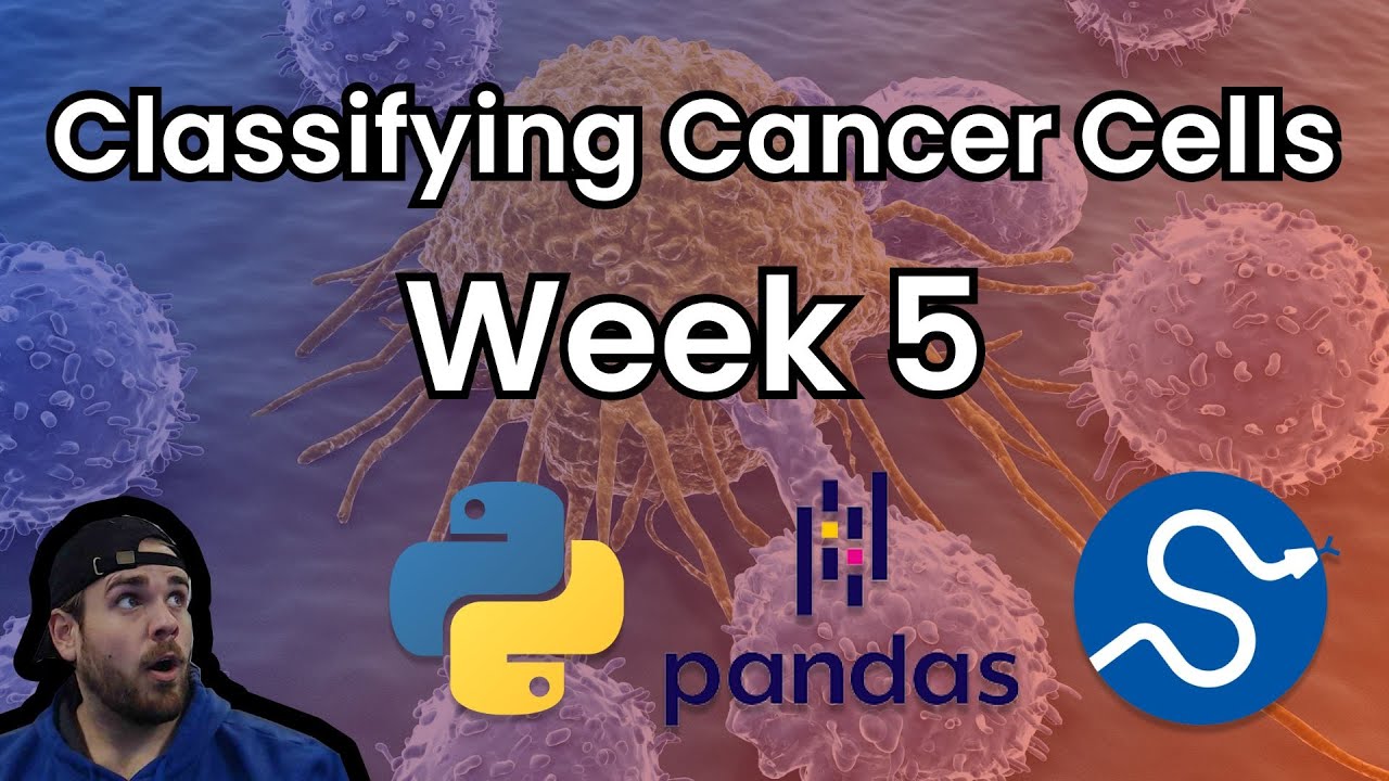 Classifiers In Python Using Scikit Ml Monday Week 5 Youtube 3181