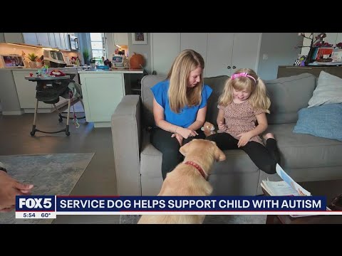 Service dog helps support child with autism