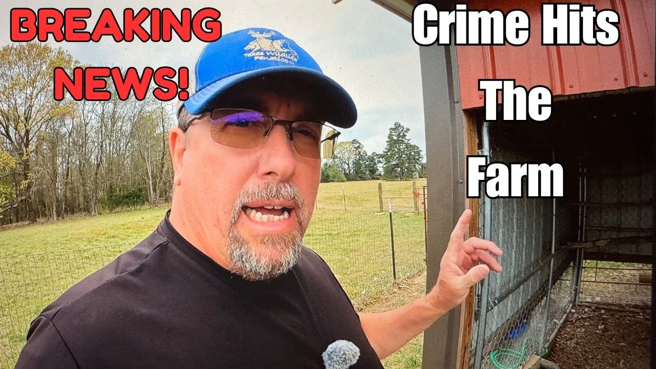 “Attack At The Farm: 4 Suspects Caught and Sentenced” - YouTube