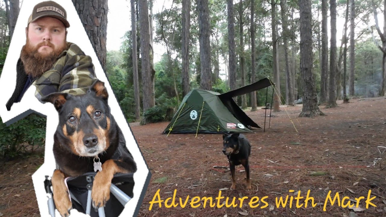 Overnight camping at the Pines campground (Olney state forest ...