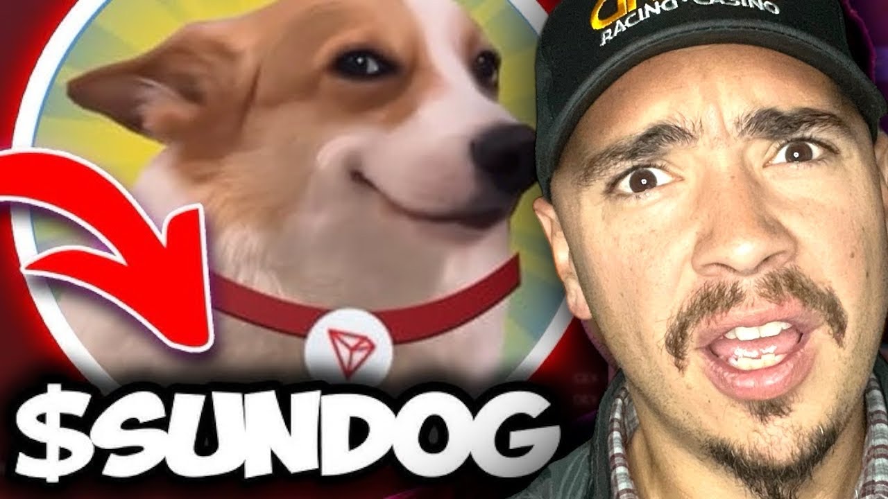 TRON MEMECOIN SEASON! SUNDOG TO $1B? - YouTube