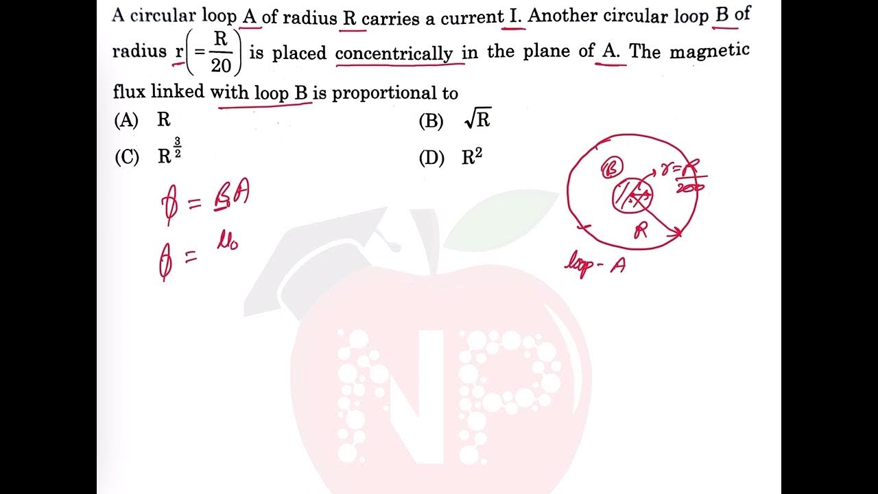 A circular loop A of radius R carries a current I. Another circular loop B of radius #cbse2024 ...