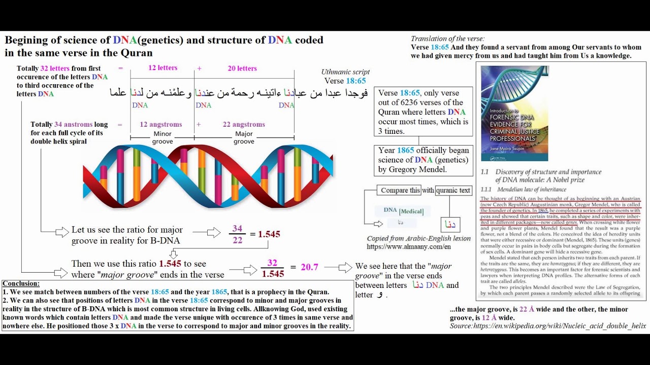 Year of the begining of science of DNA and structure of B-DNA coded in ...