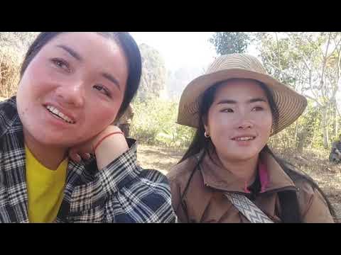 hnub no peb mus kho tu txiv hlob lub tsev2025 - YouTube