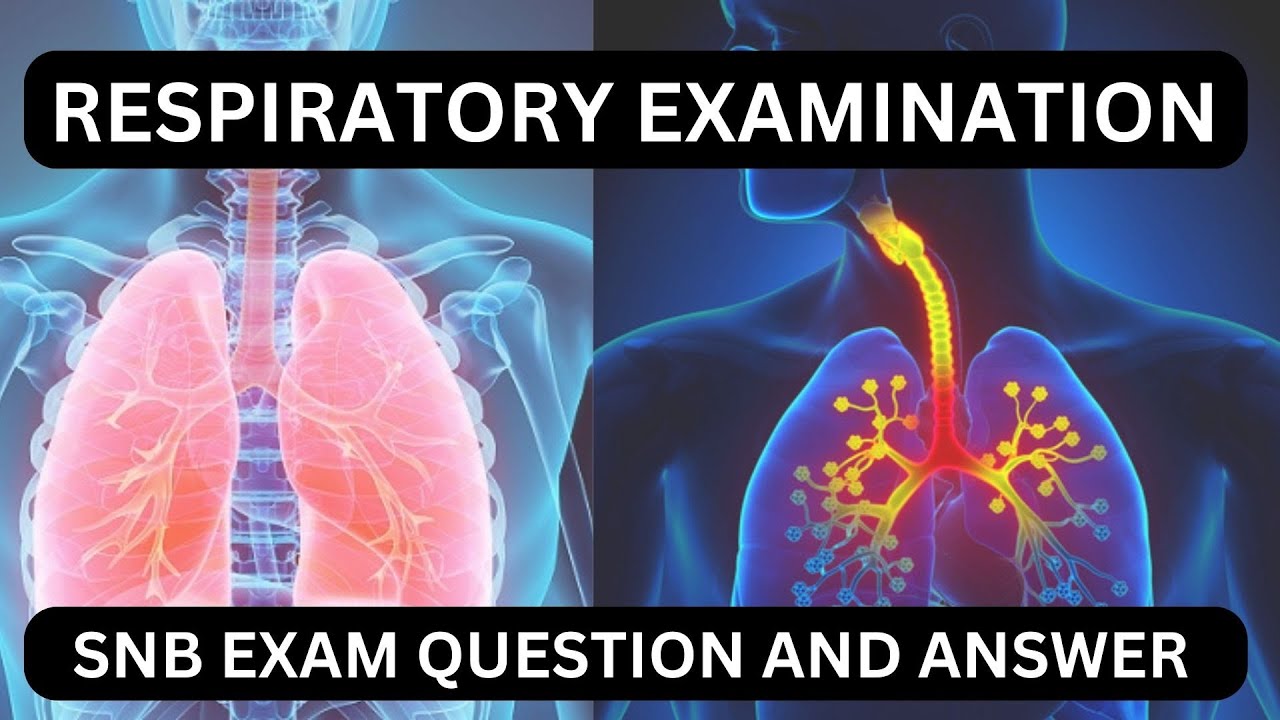 Respiratory Examination Important Multiple Choice Questions | SNB Exam Preparation | MCQs | # ...
