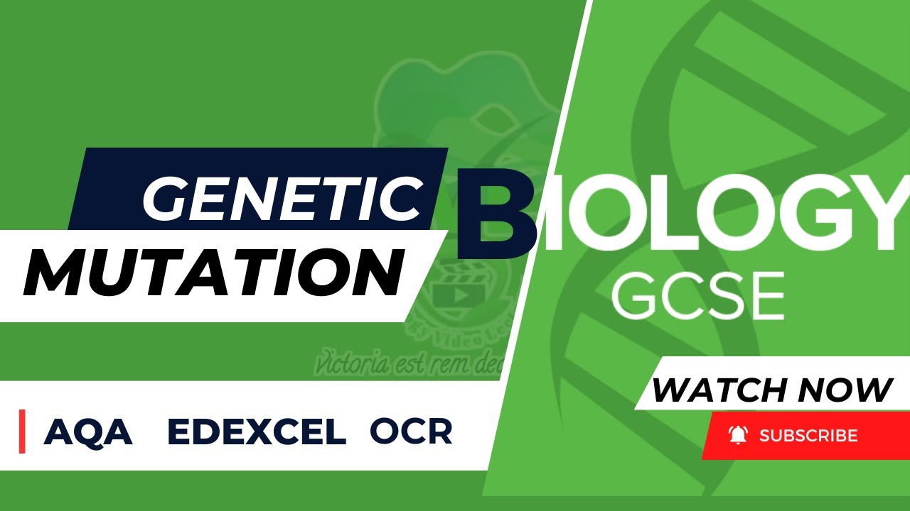 Genetic Mutation || GCSE - YouTube