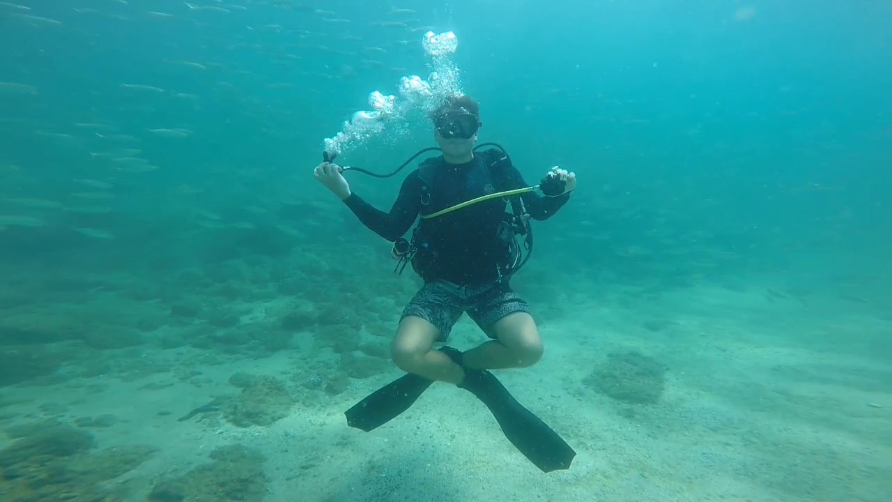 Snoopy Island - Shore dive- Scuba Diving Fujairah UAE - YouTube