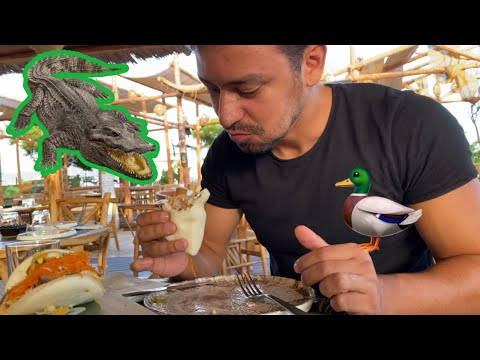 ΔΟΚΙΜΑΖΩ ΚΡΟΚΟΔΕΙΛΟ ΜΙΑ ΜΕΡΑ ΣΤΗΝ ΙΝΔΟΝΗΣΙΑ - YouTube