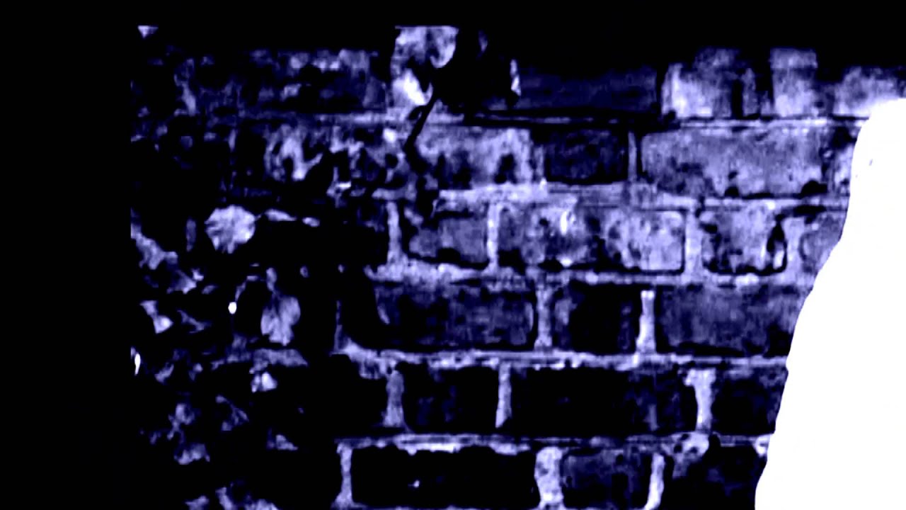 DARGANA 2013 - YouTube