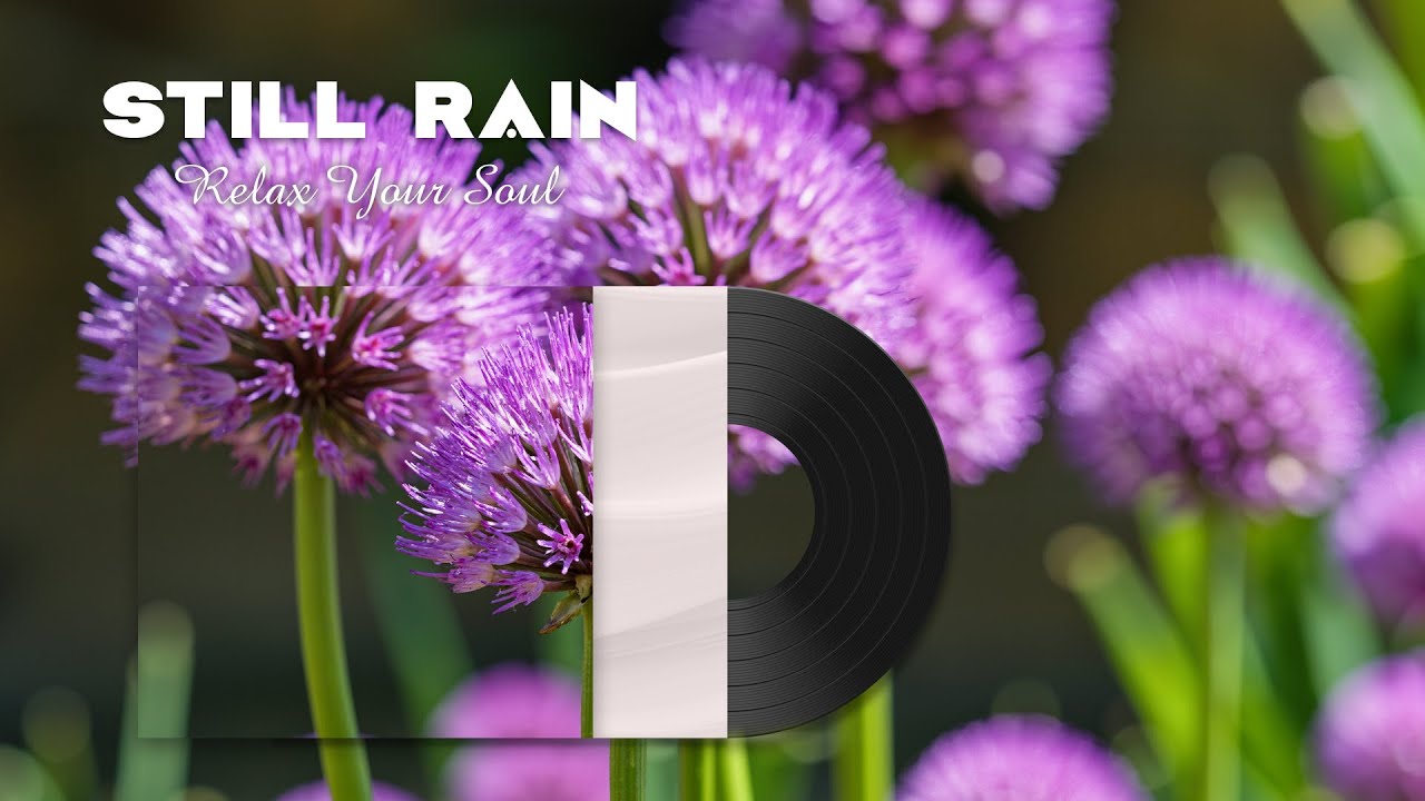 Still Rain - Relax Your Soul - YouTube