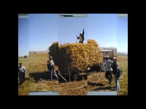 Alacahan - Terkettim Köyümü