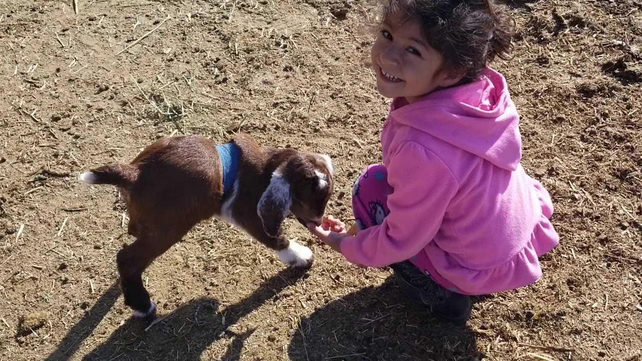 El Rancho Navarro - YouTube