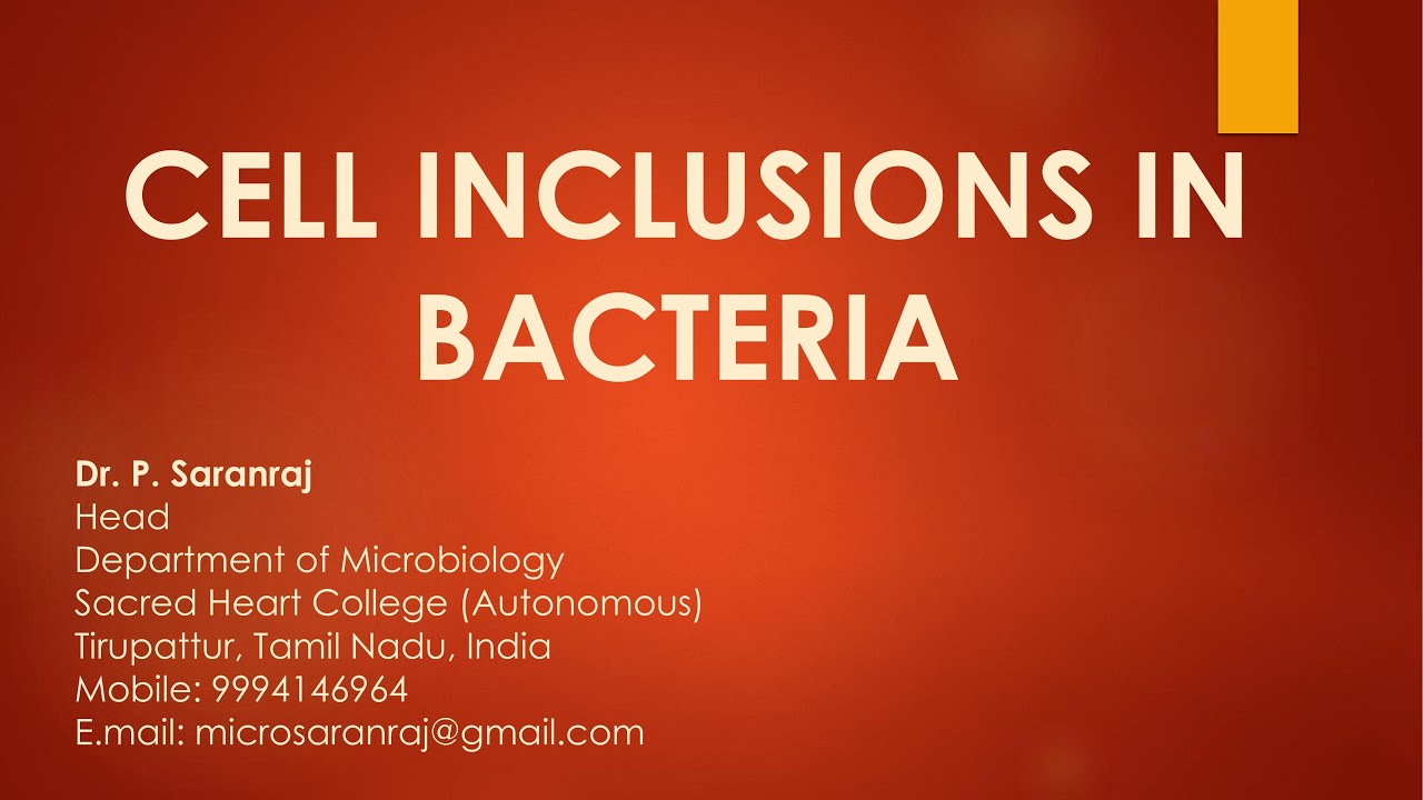 Inclusions In Bacteria