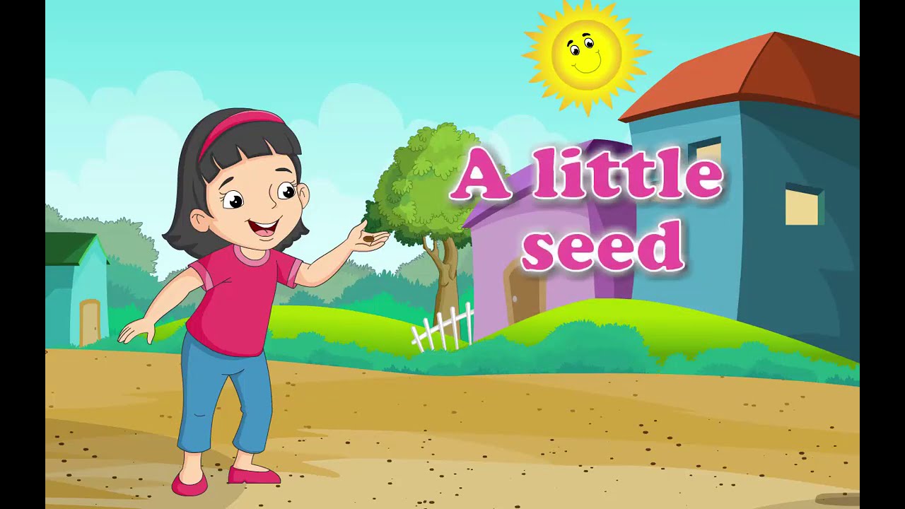 A Little Seed - YouTube