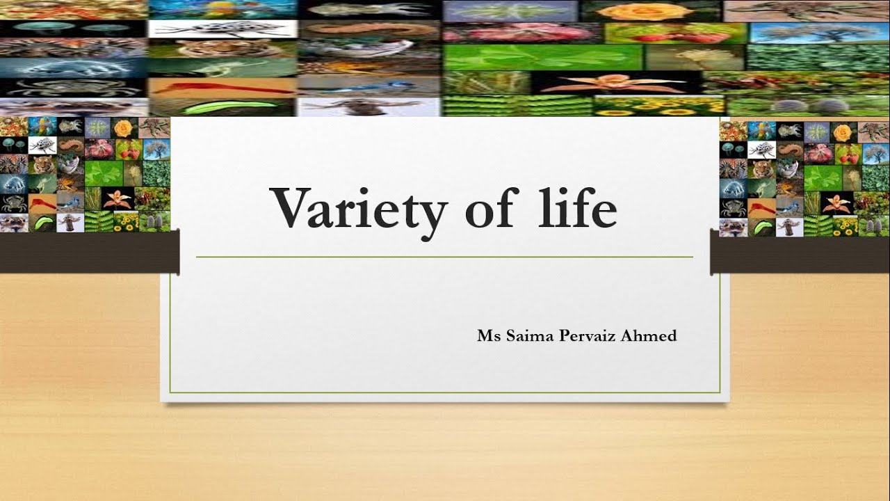 variety of life - YouTube