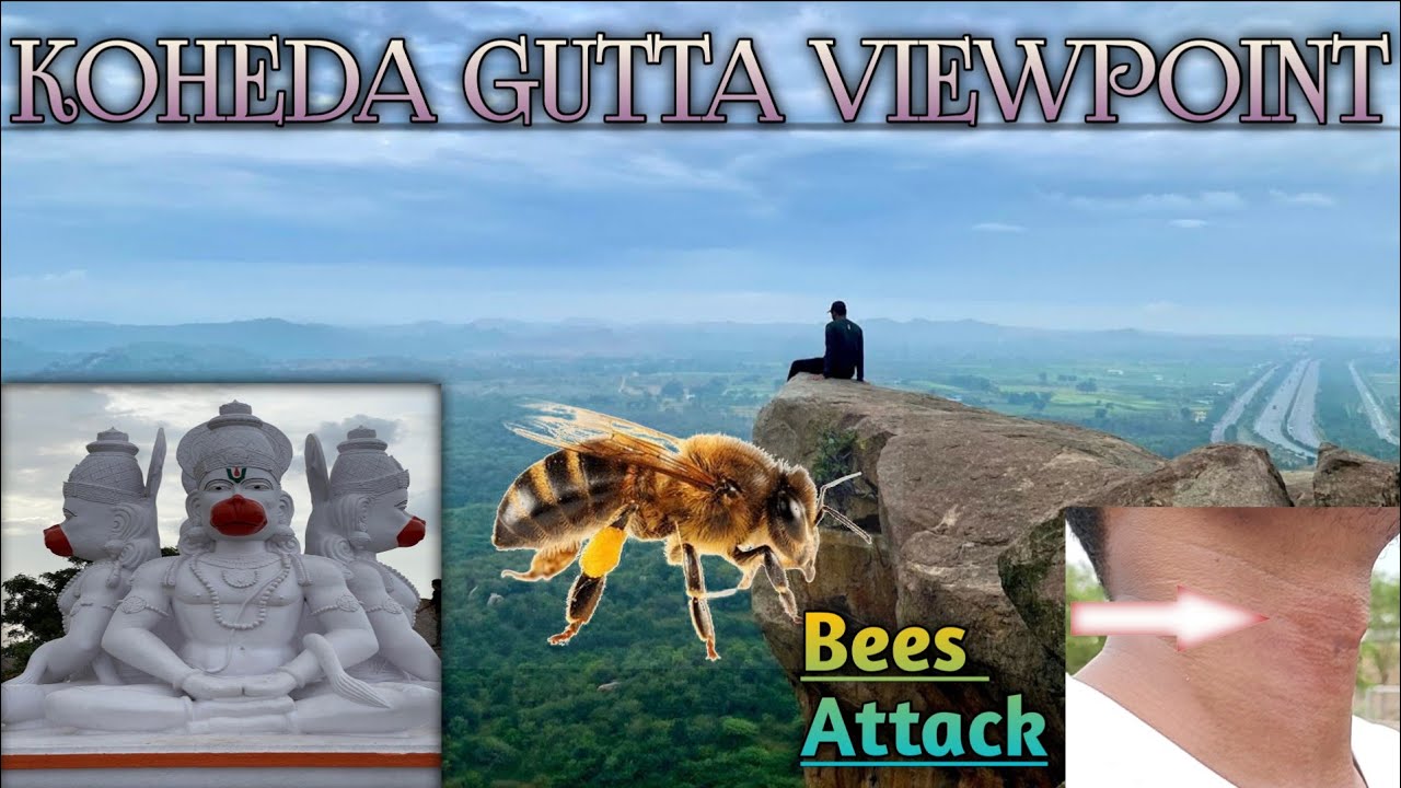 Koheda Gutta Viewpoint ||Hanuman Temple || Koheda Hills || New Tourist ...