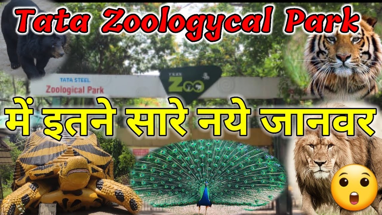 Tata Zoological Park🦓 || Jugli Park || Jamshedpur || ️ ️ ️ - YouTube