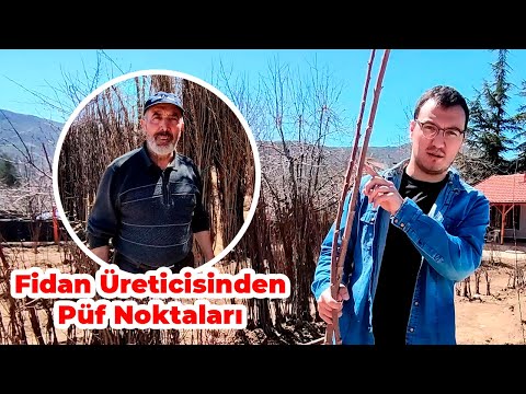 Fidan Alırken Nelere Dikkat Etmeli - Üreticiden Püf Noktaları