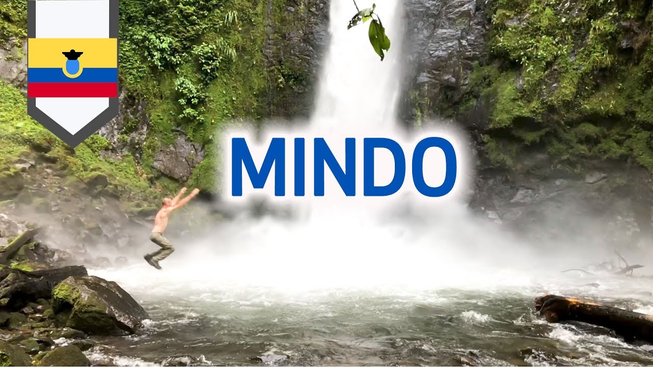 Qué HACER en MINDO ECUADOR | 5 tips para viajeros - YouTube