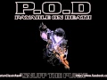 P.O.D. – Snuff The Punk (1999, CD) - Discogs