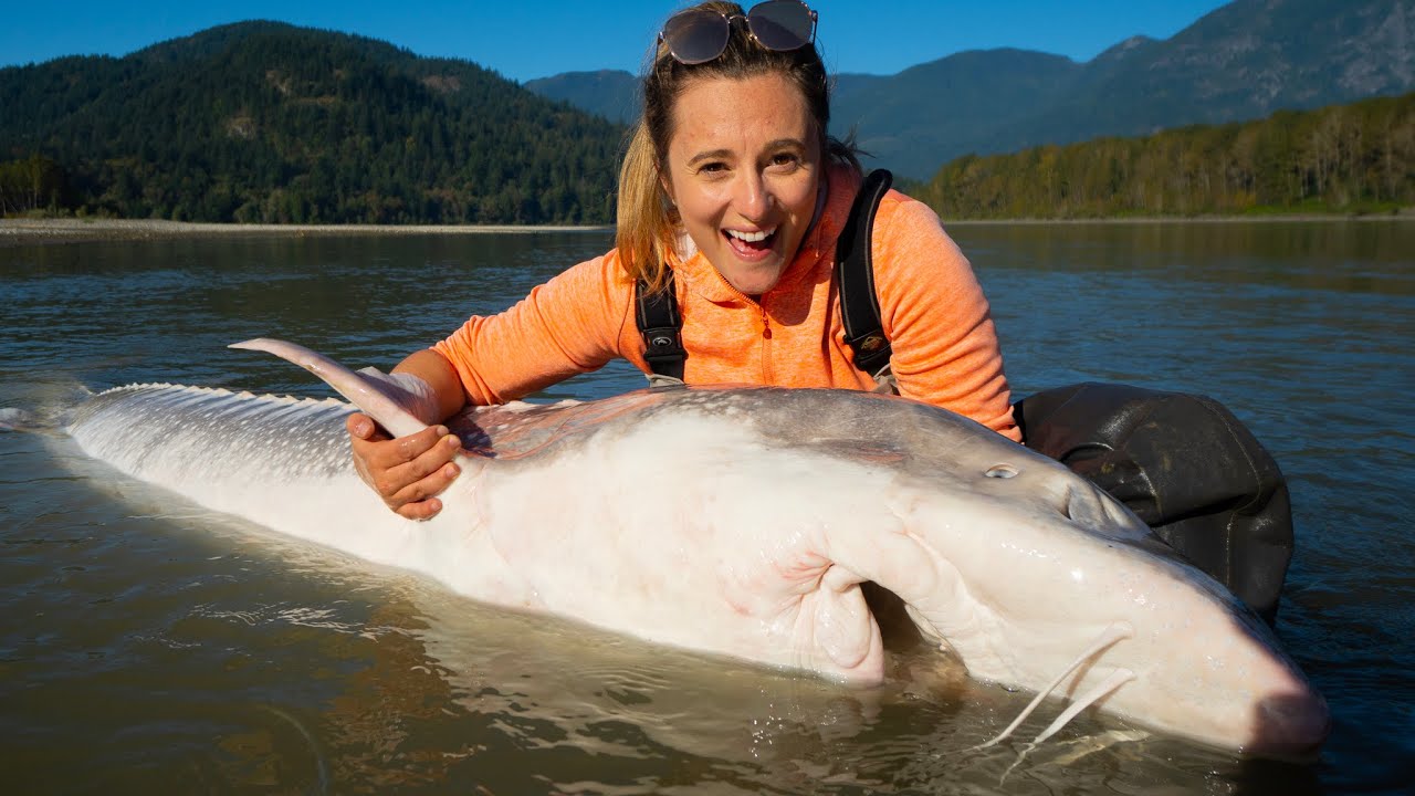 500 POUND RIVER MONSTER (Sturgeon) BIGGEST Seafood in the World + BBQ ...